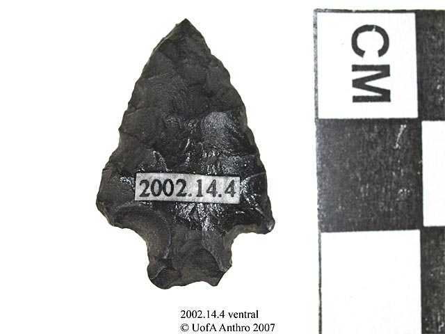 2002.14.4 - rectangular shouldered projectile point - University of ...